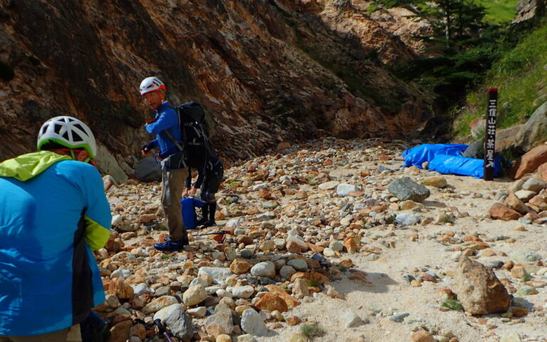 ついに復活！伊藤新道 - パワーゾーン