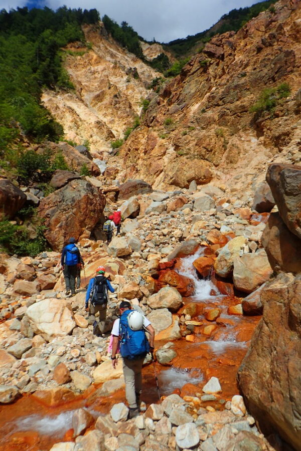 ついに復活！伊藤新道 - パワーゾーン