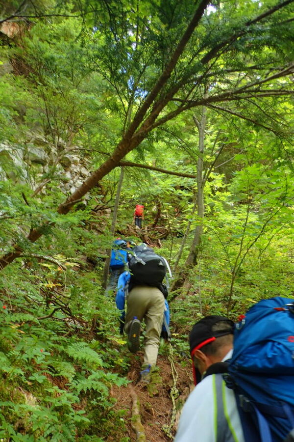 ついに復活！伊藤新道 - パワーゾーン